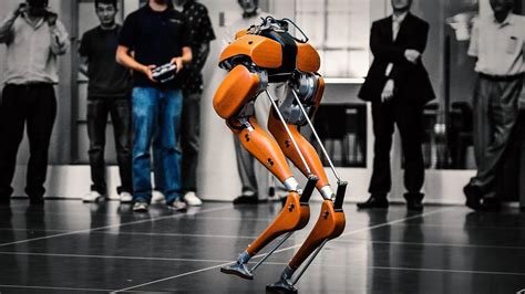 Exploring Biomimicry Where Robotics Meets Nature