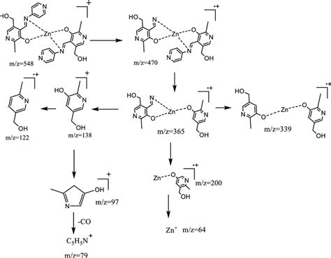 Proposed fragmentation pattern of the [ZnL2] complex | Download ...