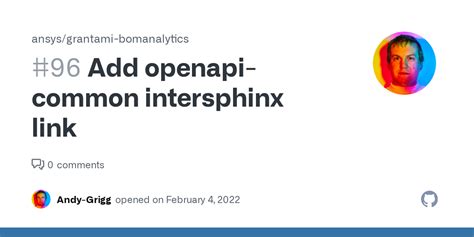 Add Openapi Common Intersphinx Link Issue Ansys Grantami Bomanalytics GitHub