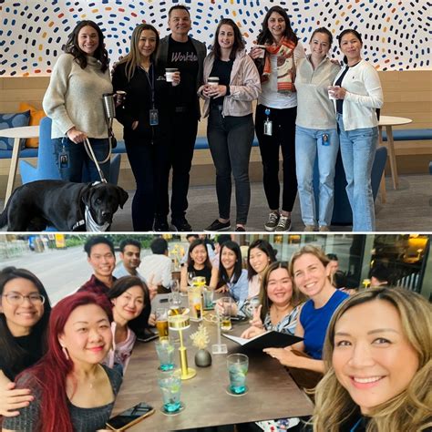 Callie Zeifang Posted On Linkedin