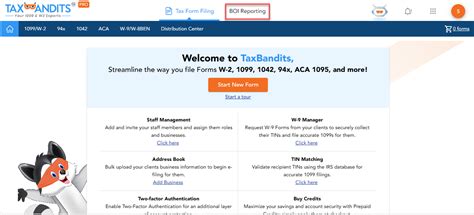 How Do You File Your Initial BOI Report With TaxBandits