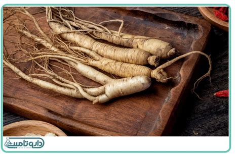 جینسینگ چیست و خواص درمان جینسیگ