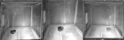 The Experimental Illustration Of Contaminant Spreading In A Natural Download Scientific Diagram