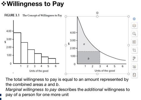 Solved Willingness To Pay Figure 31 The Concept Of
