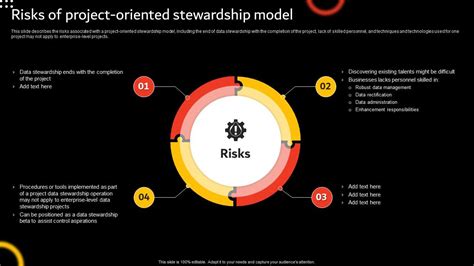 Stewardship By Function Model Risks Of Project Oriented Stewardship