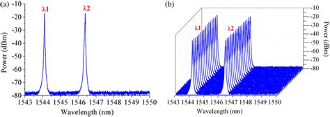 Dual Wavelength Operation Of The Fiber Laser With A Wavelength Spacing