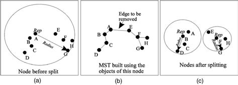 Exemplifying A Node Split Using The Mst Algorithm Download Scientific Diagram