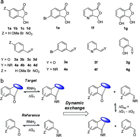 N → π Interactions As A Versatile Tool For Controlling Dynamic Imine Chemistry In Both Organic