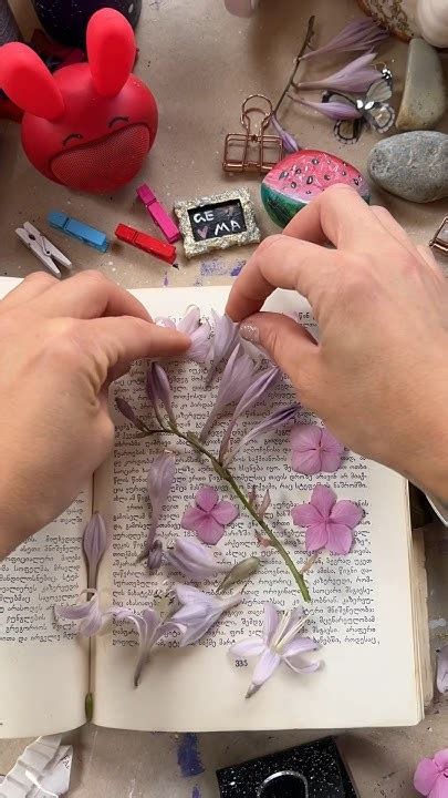 როგორ გავაშროთ ყვავილები გამხმარი ყვავილები Youtube