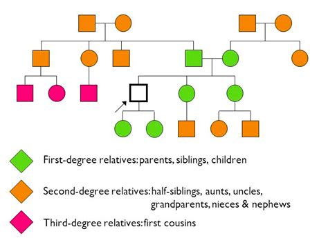 relatives 1st 2nd 3rd degree gp exams