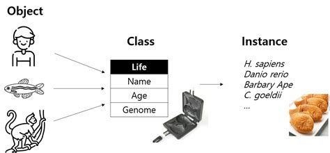 Chapter Bioconductor R