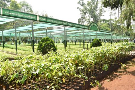 ပြည်ထောင်စုဝန်ကြီး ဦးခင်မောင်ရီ ပြင်ဦးလွင်မြို့နယ်အတွင်း ၂၀၂၂ ခုနှစ်၊ မိုးရာသီတွင်စိုက်ပျိုးမည့