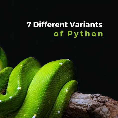 dom hudson on linkedin python programming language has different