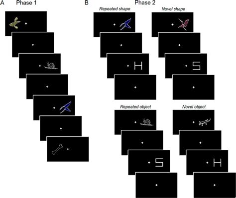 A Phase 1 Of The Priming Spatial Attention Task Shapes And Objects