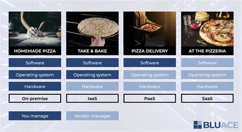 The Difference Between An On Premise And Saas Solution Bluace