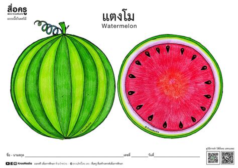 ห้องเรียนออนไลน์ By ครูตู่ การทำ Popup ผลไม้
