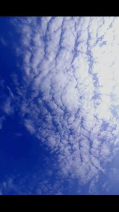 춤추는비늘구름 Youtube