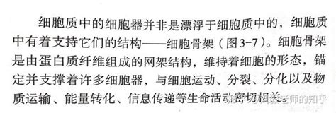 细胞骨架属于细胞质基质还是细胞器 知乎