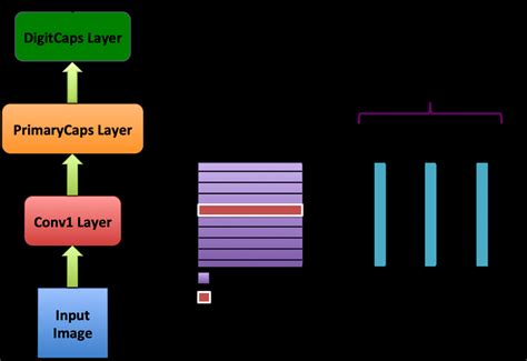 Left Three Layer Capsnet Architecture Adapted From Sabour Et Al 7