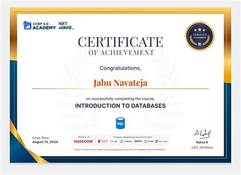 Jabu Navateja On Linkedin Successfully Completed My Databases Course