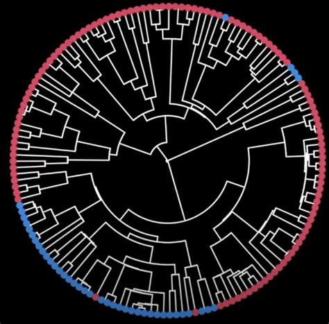 Dynamic Aggregation Best Cluster May Be Different From Clustered