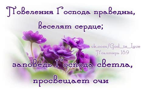 ~⊰♥⊱~ БОГ ЕСТЬ ЛЮБОВЬ ~⊰♥⊱~ | Христианские цитаты, Библейские цитаты ...