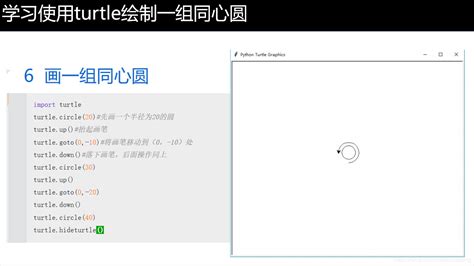 Python学习笔记（二）——初识turtle海龟绘图海龟画图知识点 Csdn博客