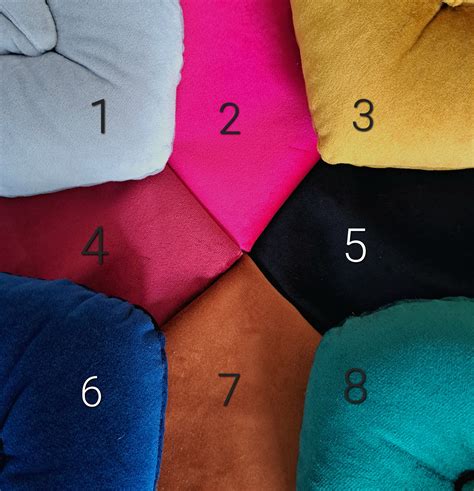 Vulva And Clitoris Set Sex Education Gadget M Size Plushy Etsy