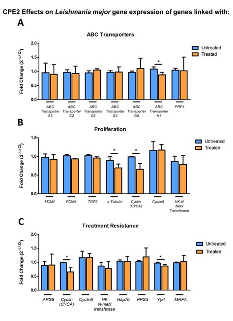 Effect Of Cpe2 On L Major Promastigotes Gene Expression Mrna Levels