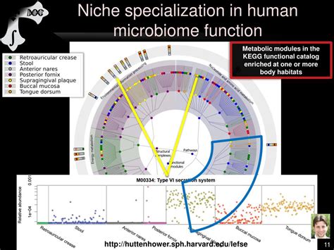 Ppt Scalable Metabolic Reconstruction For Metagenomic Data And The Human Microbiome Powerpoint