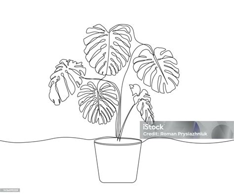 화분에 괴물의 한 줄 그리기 몬스터의 연속 한 줄이국적인 열대 식물 덤불 냄비에 벡터 관목에 대한 스톡 벡터 아트 및 기타