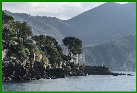 Honeywell Barcode Scanner Common Troubleshooting