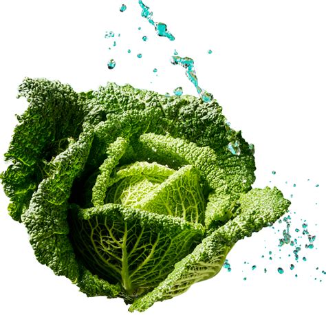 Lidl Spring Digital Magazine UK Lidl Magazine Spring Edition Lidl GB