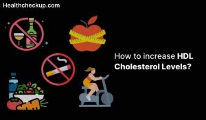 How To Increase HDL Cholesterol Levels