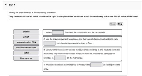 Solved Part Aidentify The Steps Involved In The Microarray