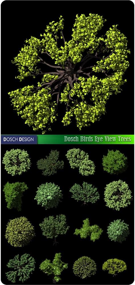 Tree Texture Gfxtra Com Stock Nature Landscape Dosch Birds Eye View Trees H