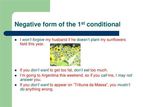 conditionals by denise d alessandro ppt download
