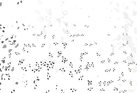 Light Black Vector Texture With Random Forms 42382815 Vector Art At Vecteezy