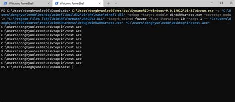 ASSERT FAILURE Winafl Winafl C Invalid Option Issue Googleprojectzero