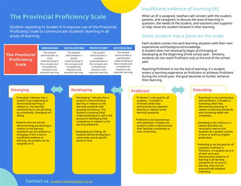 Proficiency Scale Explained