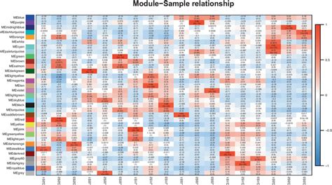 module trait associations each row corresponds to a module eigengene