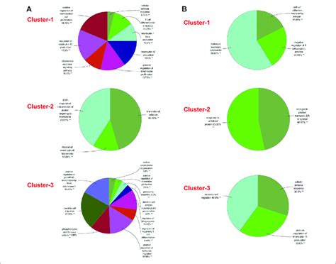 Go Biological Process Analyses Of Clusters A The Go Biological