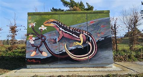 Chorus Cabinet Map Chorus Cabinet Art Beautification Trust