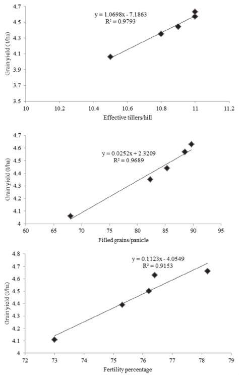 Relationships Between Grain Yield And Yield Attributes Viz Effective