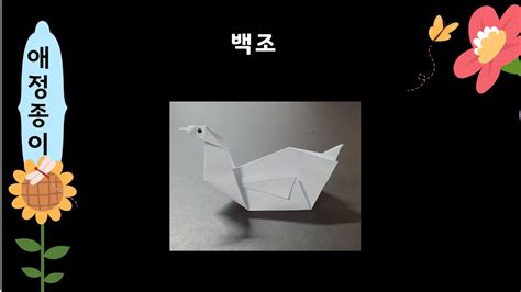 백조 접기 Youtube