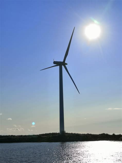 Caroline Kuzemko Posted On Linkedin