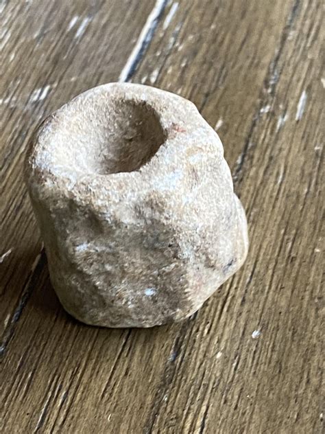 Vertebrae Bone Or Tail Bone Fossil Louisville Ky Found In Creek R Fossilid