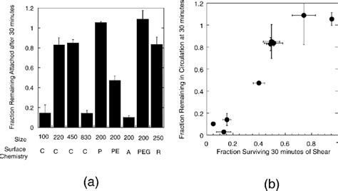 A Dependence Of Shear Induced Particle Detachment On Size And Surface