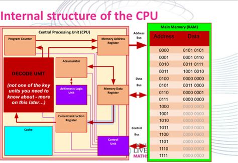 Cpu Components Flashcards Quizlet