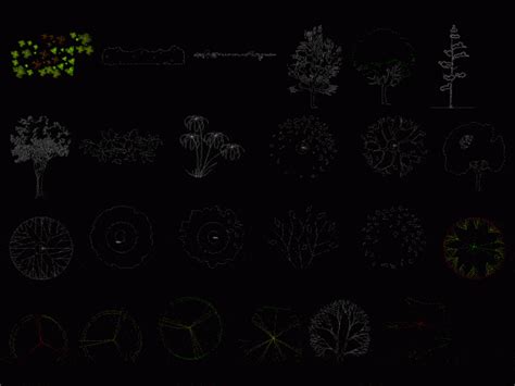 Trees And Shrubs 2D DWG Block For AutoCAD Designs CAD